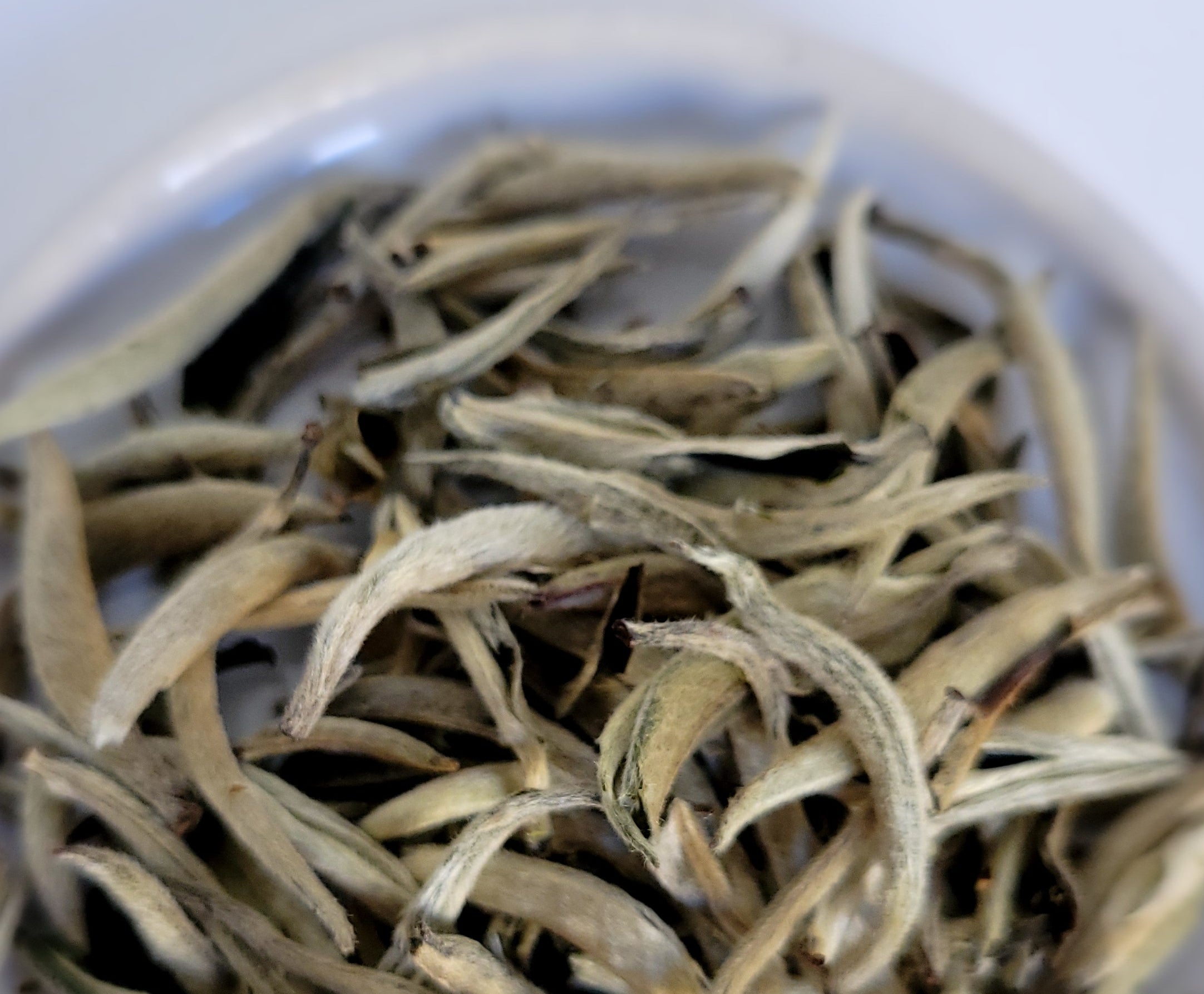 The Tea Foundry - Loose-leaf tea & accessories- Good Humans drink Tea ...